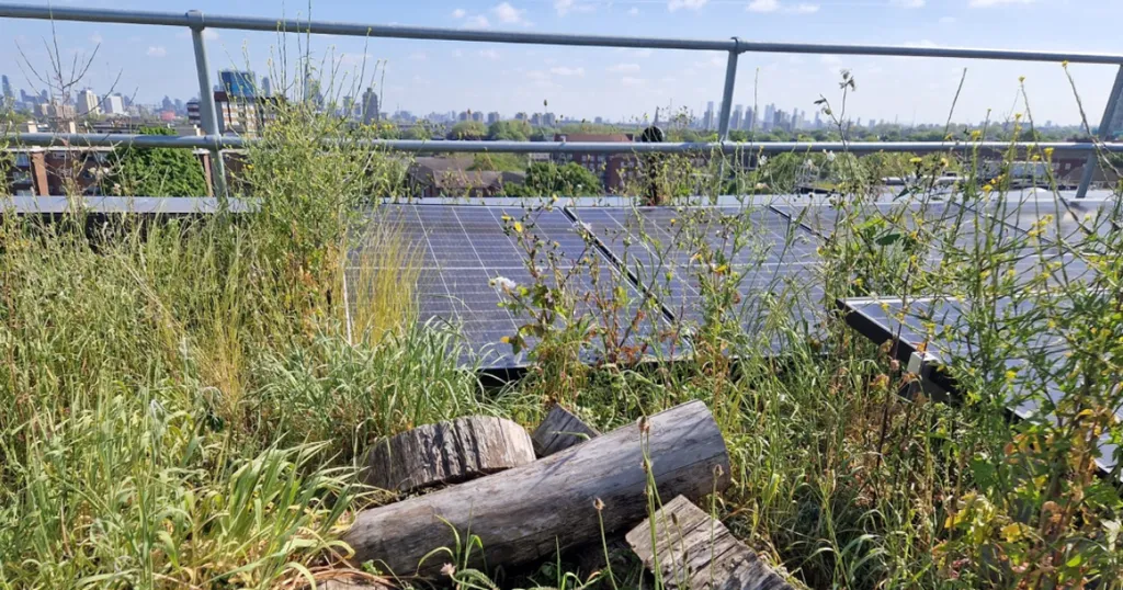 Axter Ltd | Axter achieves B Corp certification: A milestone in our…