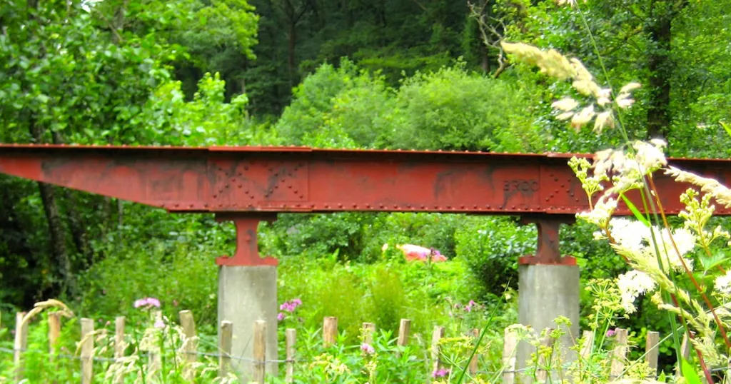 Alex Devereux creates unbelievable sculptures from… | MEDITE SMARTPLY